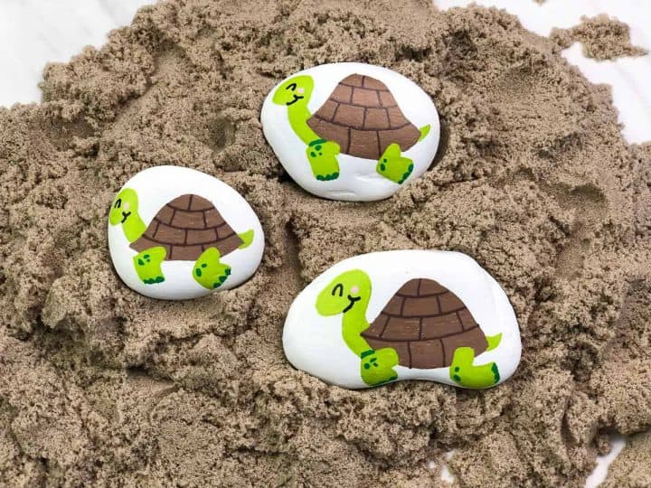 12 fun Turtle Rock Painting Ideas: Easy inspiration for beginners