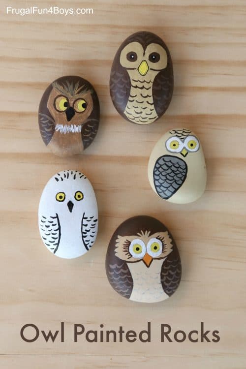 14 easy Owl Rock Painting Ideas - Rock Painting 101