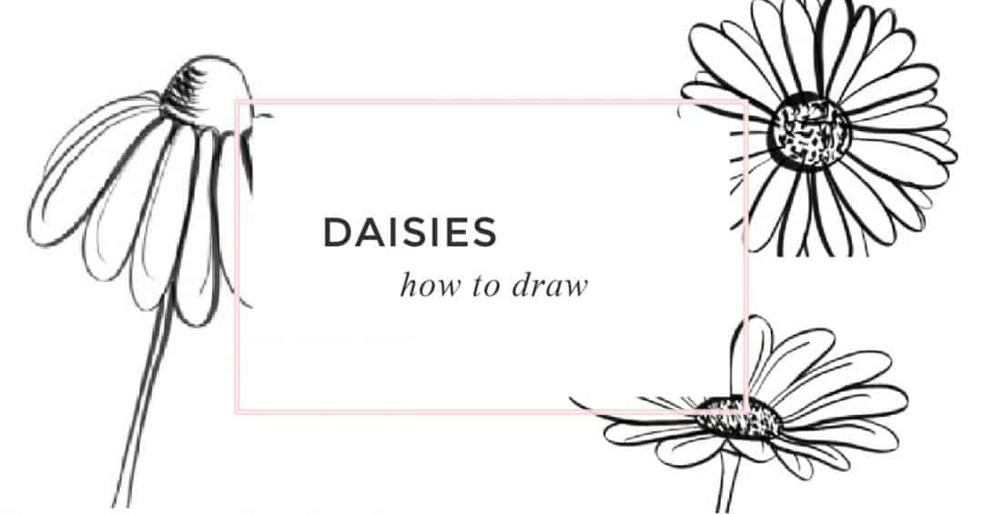 Daisy Drawing - How to Draw a Daisy - 4 Simple Daisy Doodles - Rock ...