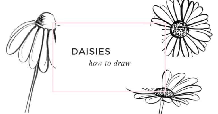 Daisy Drawing - How to Draw a Daisy - 4 Simple Daisy Doodles - Rock ...