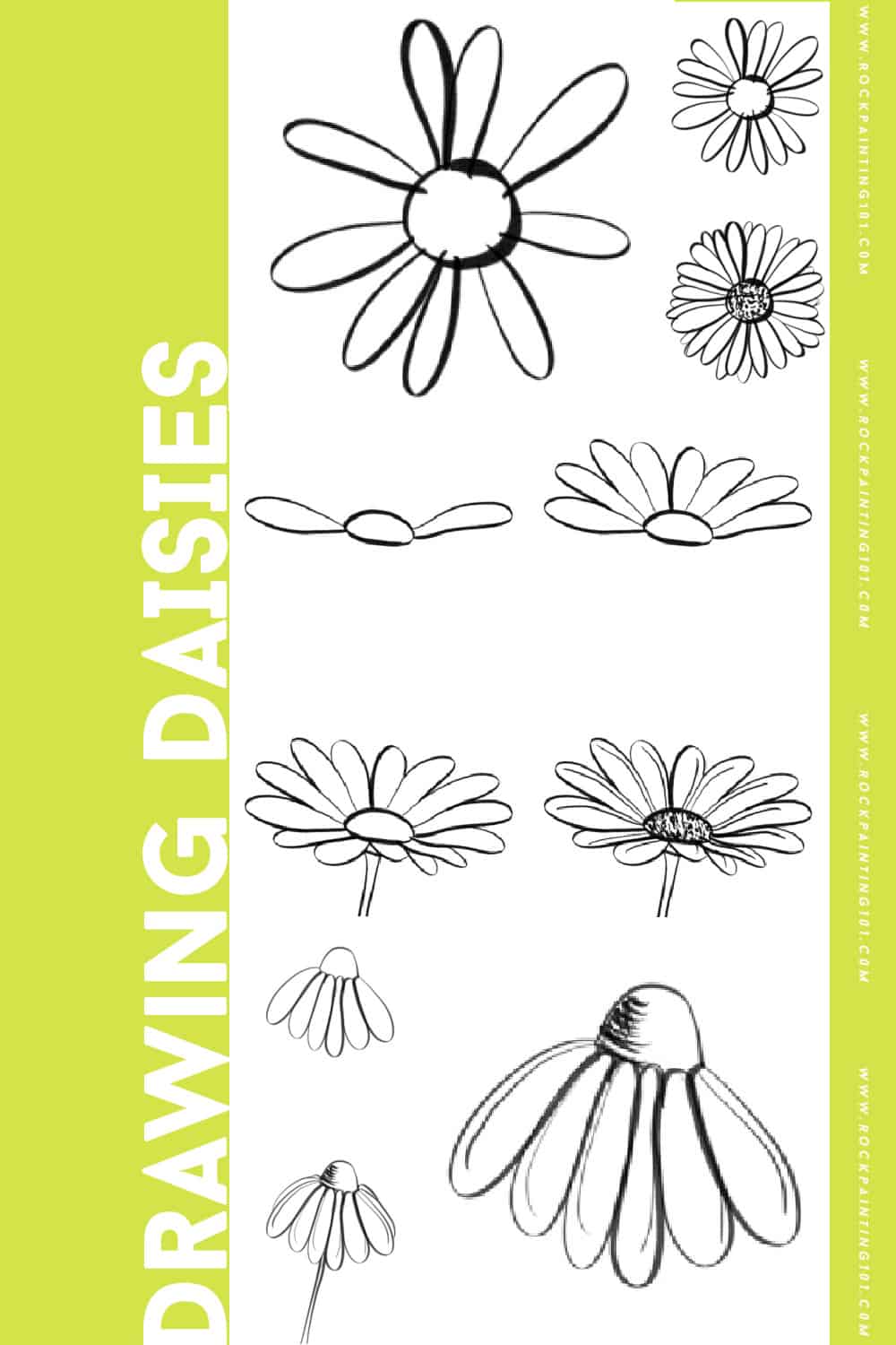 Daisy Drawing - How to Draw a Daisy - 4 Simple Daisy Doodles - Rock ...