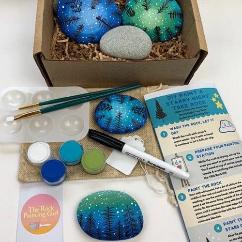 9 fun rock painting kits: perfect for beginners or gifts - Rock ...